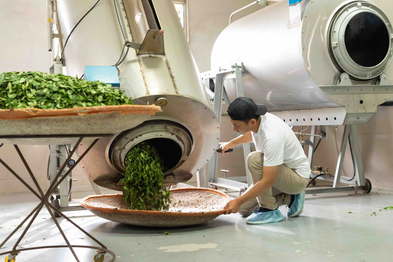 來一口茶山、出發春季限定 Tea Surfing！2024 茶山繚療 4/13-14登場 - 夢想誌